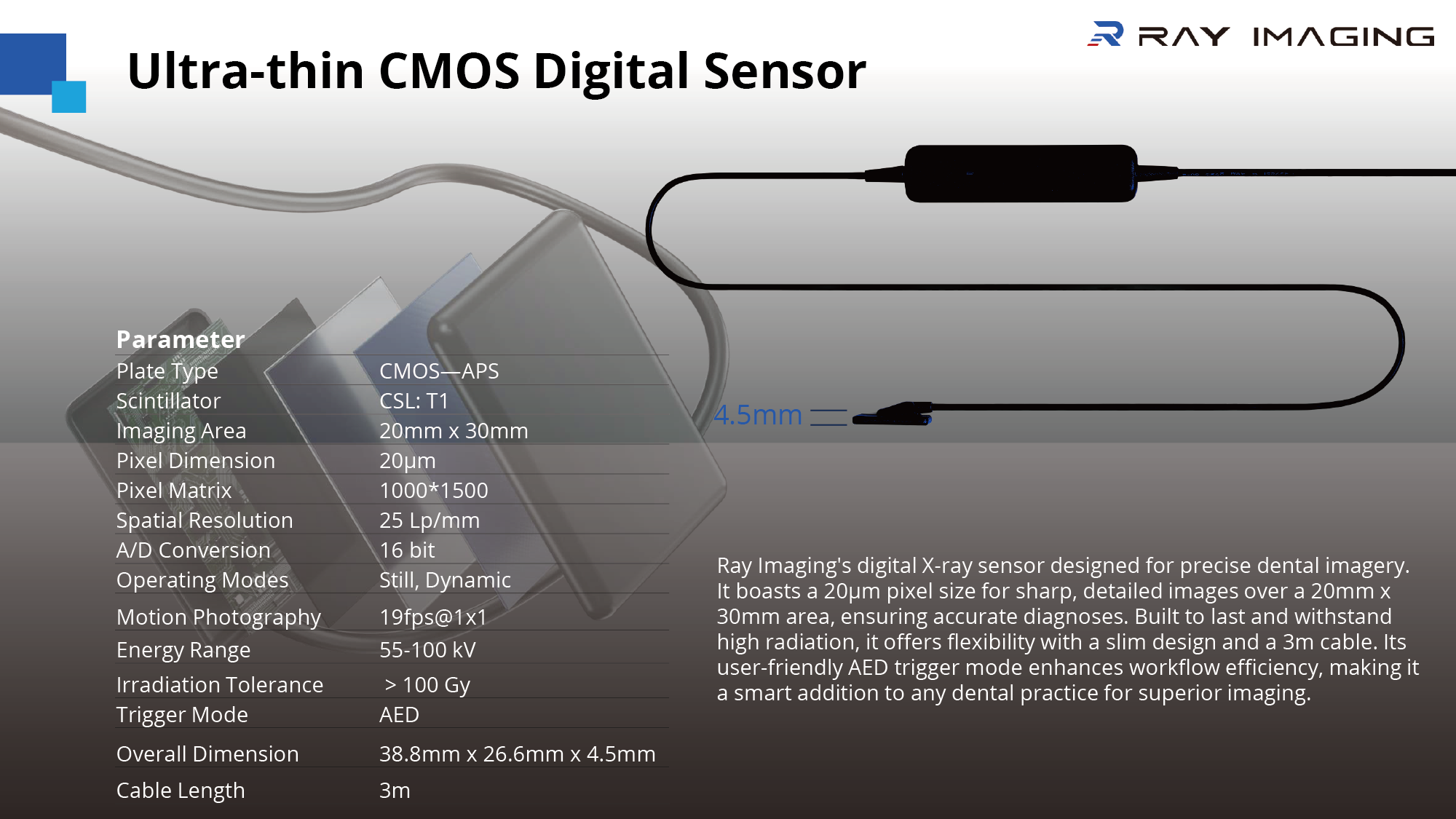 eRAY DR X-ray Imaging System - Ray Imaging